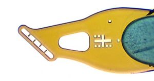 Crystal Mounts and Loops | MiTeGen