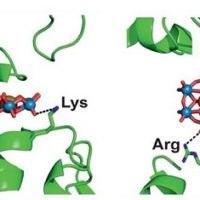 MiTeGen | Innovation in Crystallography