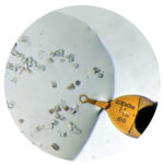 Crystal Mounts and Loops | MiTeGen