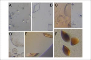 Cryoprotectant Kits | MiTeGen