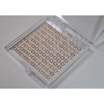 Autogrid Rings and C-clips | MiTeGen